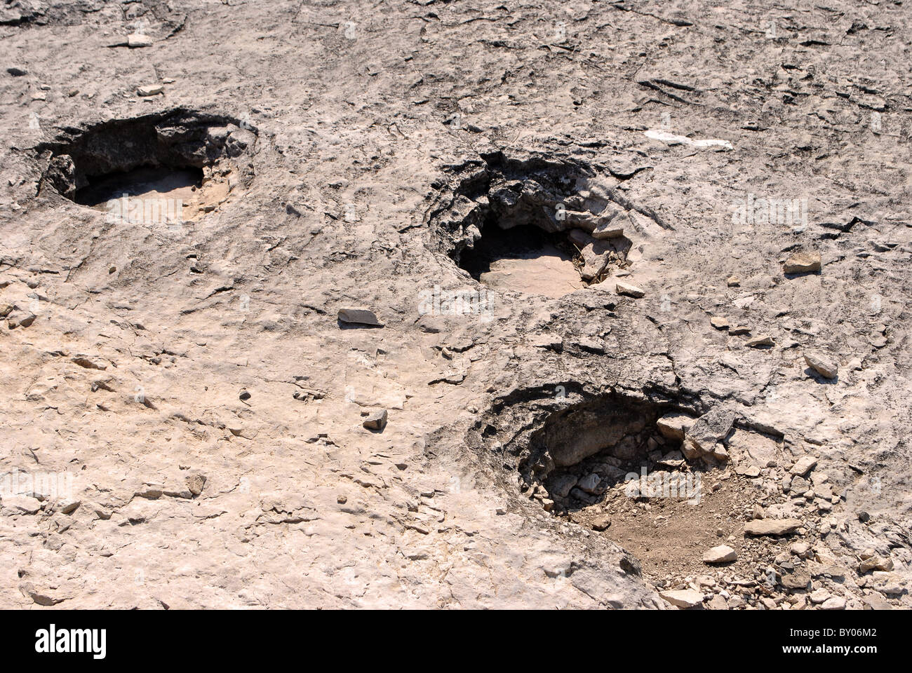 prehistoric dinosaur footprints in the rock Stock Photo - Alamy