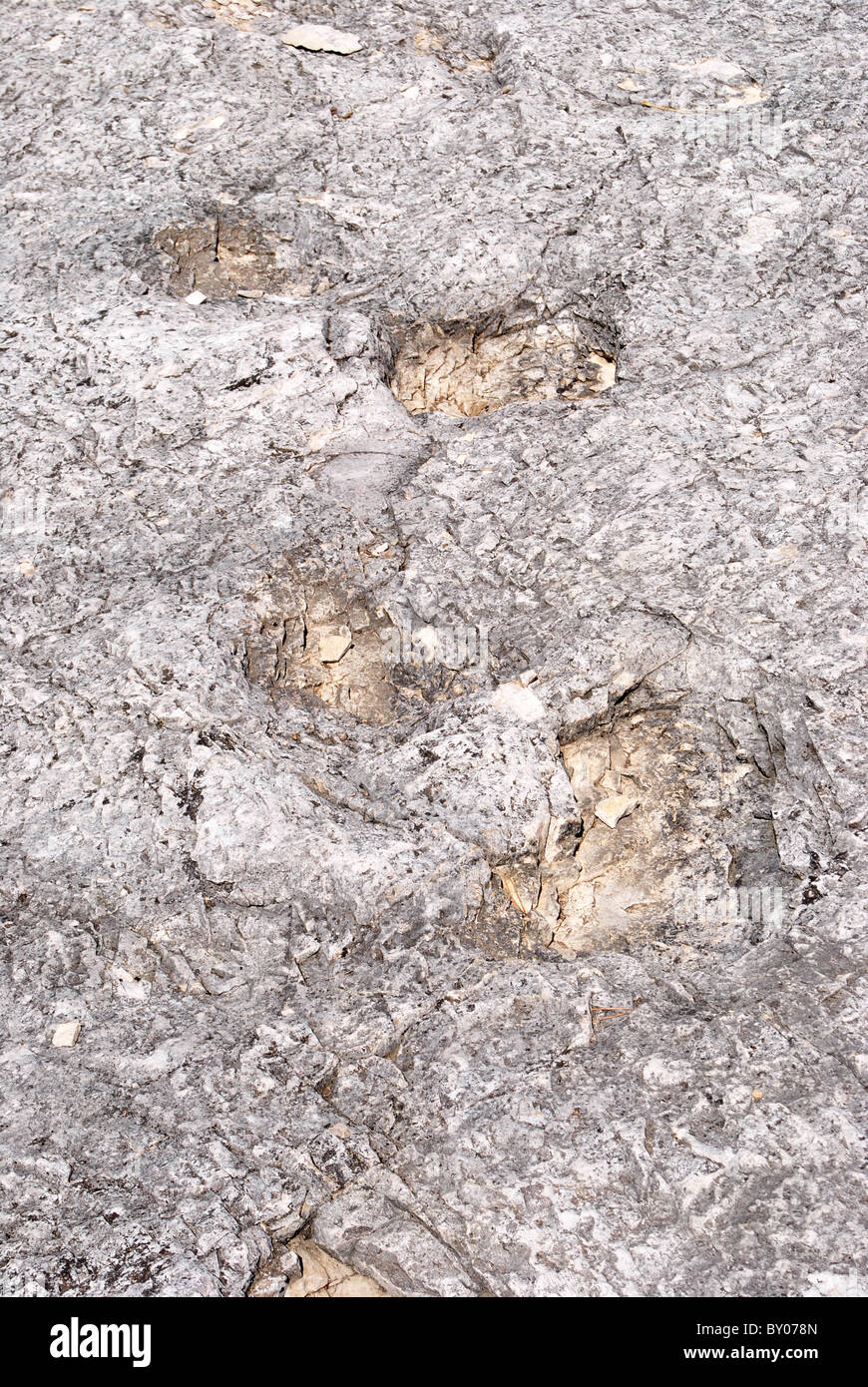 prehistoric dinosaur footprints in the rock Stock Photo - Alamy