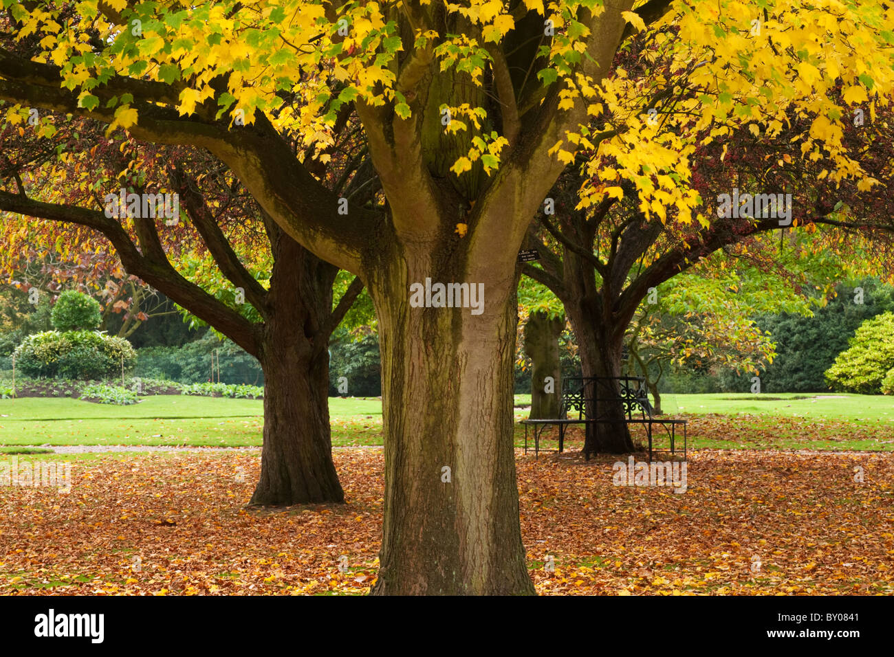 Tatton hall hi-res stock photography and images - Alamy