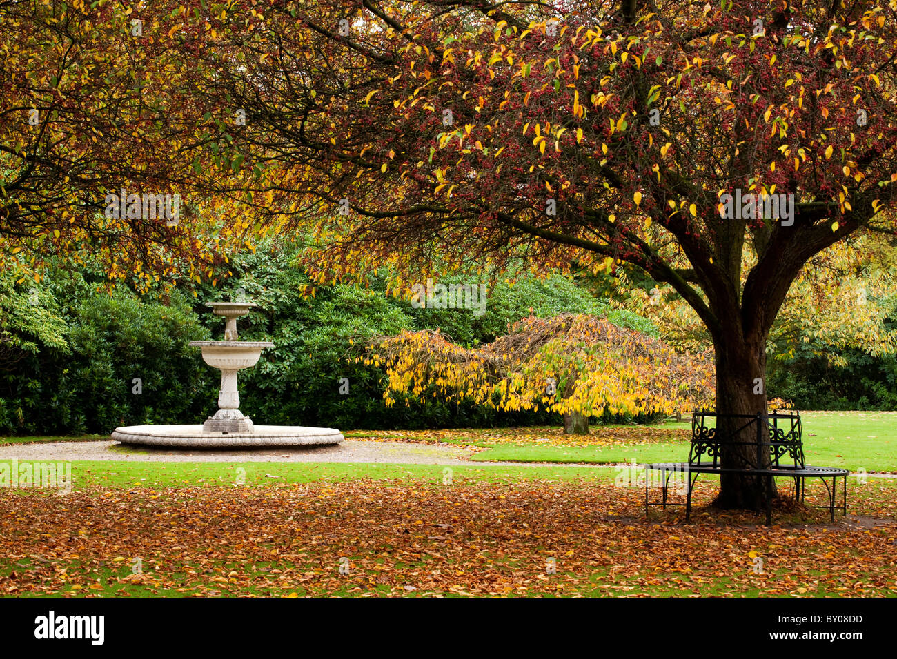 Autumn, Tatton Hall Stock Photo - Alamy