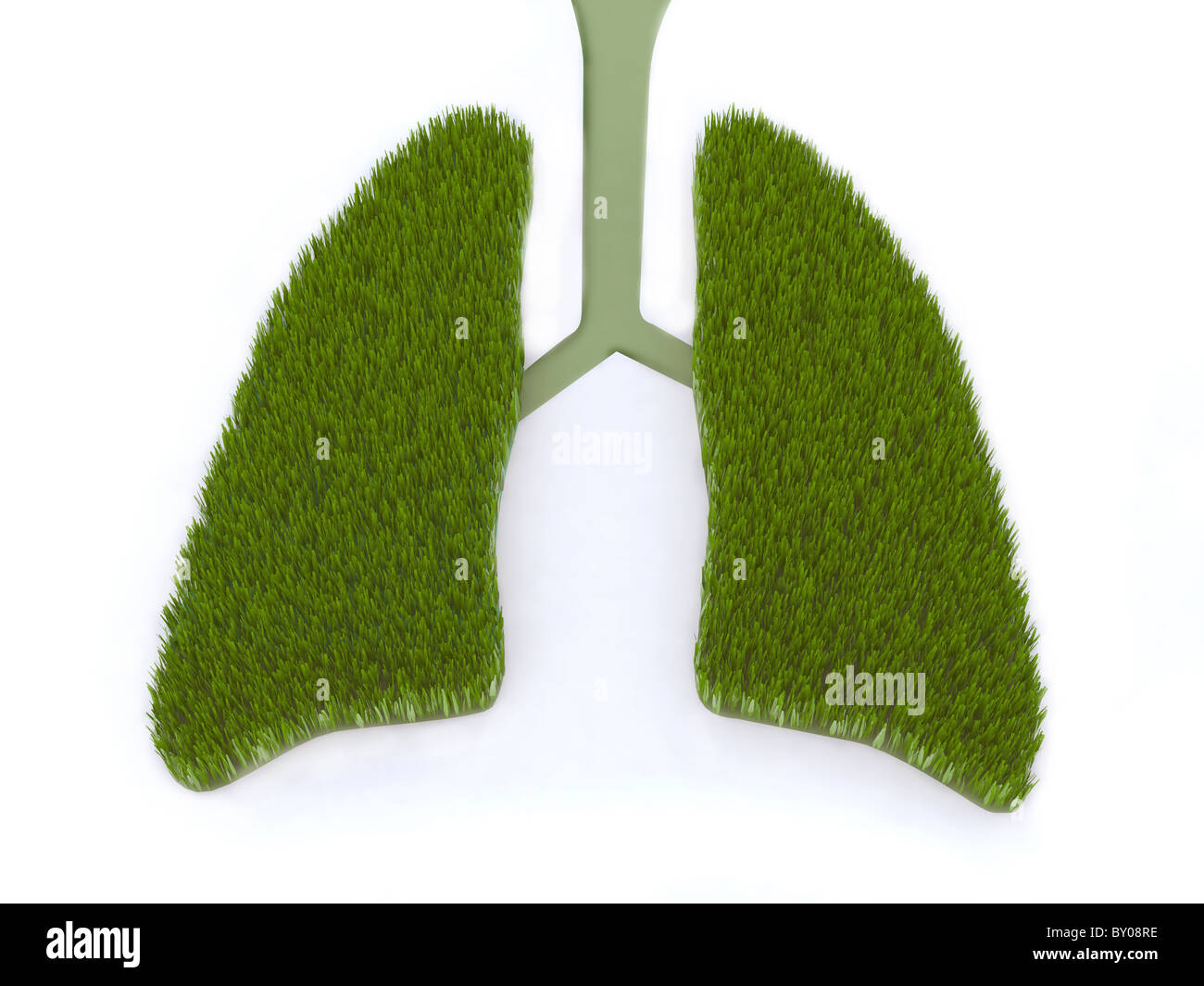 green lung with grass Stock Photo - Alamy