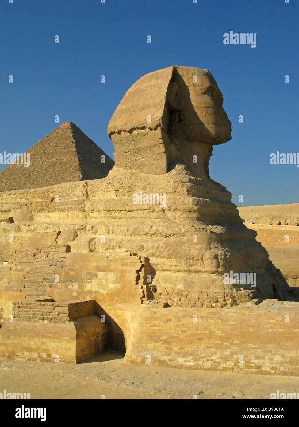 Egyptian Cat Pyramid