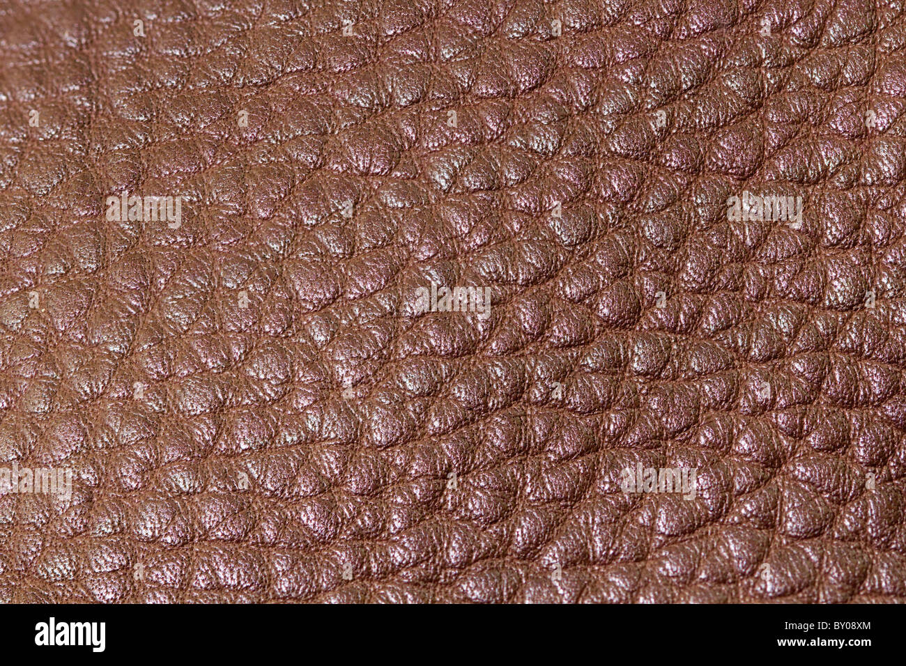 extreme closeup of dark tan leather surface Stock Photo - Alamy