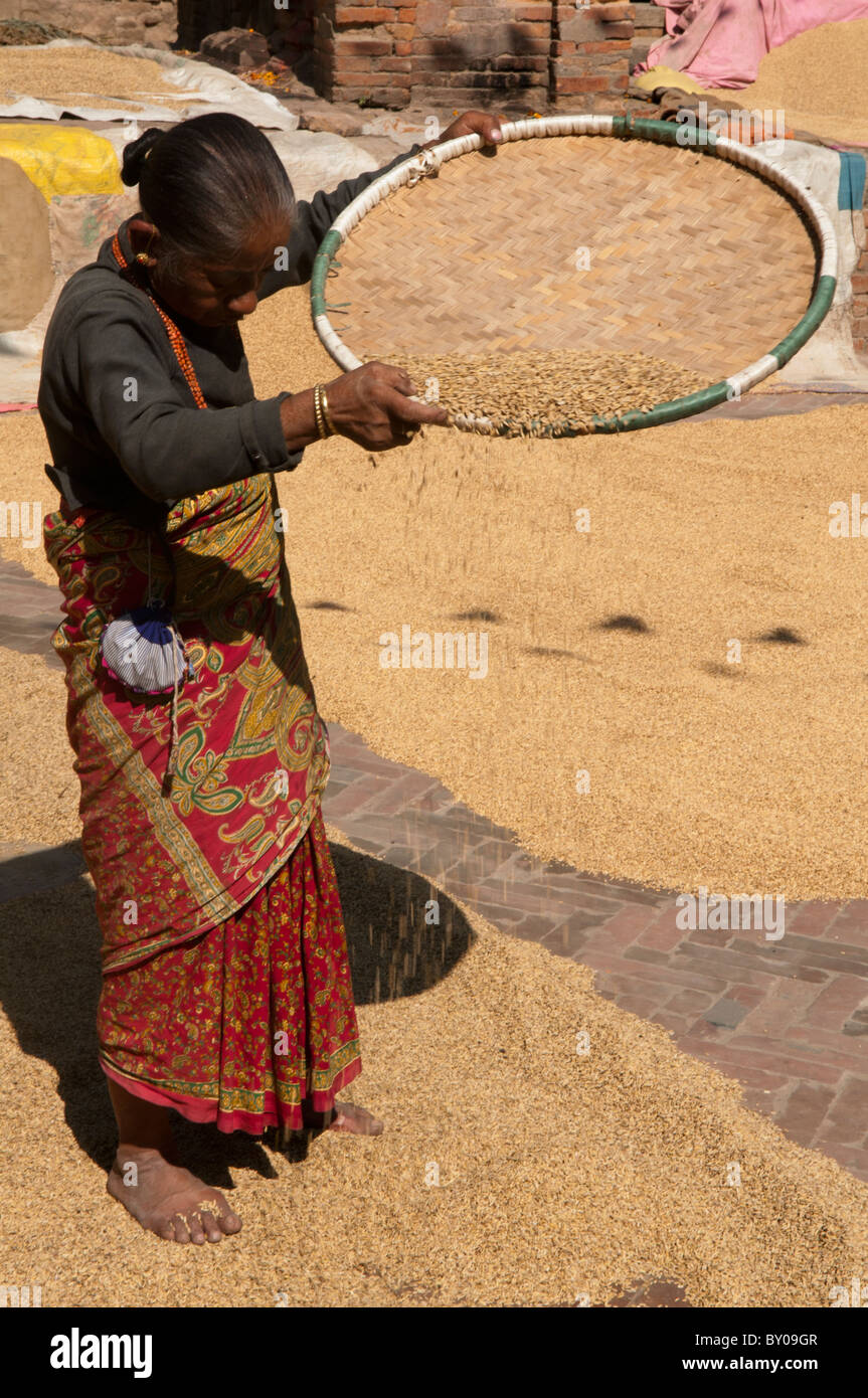 Sifting grain hi-res stock photography and images - Alamy