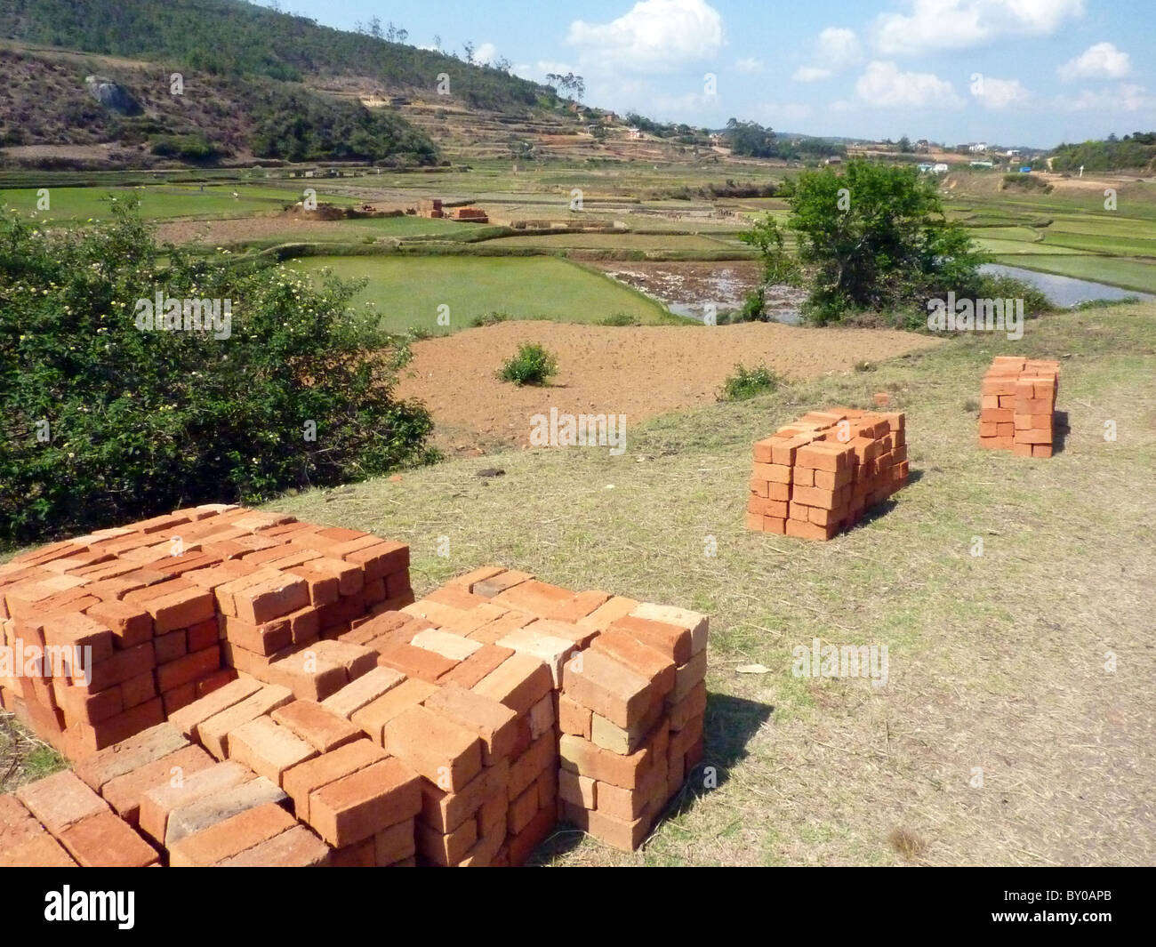 MADAGASCAR Bricks made from mud dug from the rice fields below await ...
