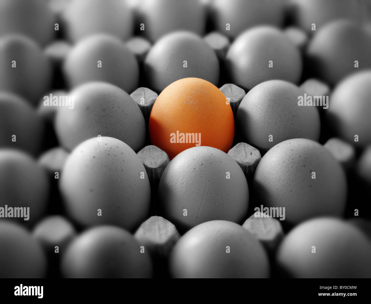 One coloured egg in a tray of black & white eggs Stock Photo - Alamy