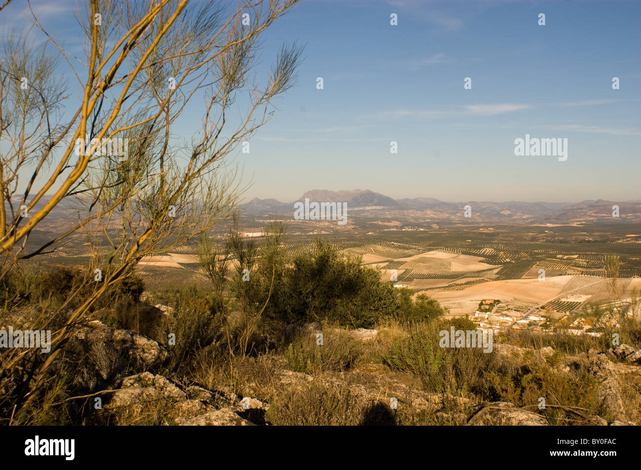SCENE FROM THE VIEWPOINT AT ALAMEDA ANDALUCIA SPAIN OVERLOOKING THE ...