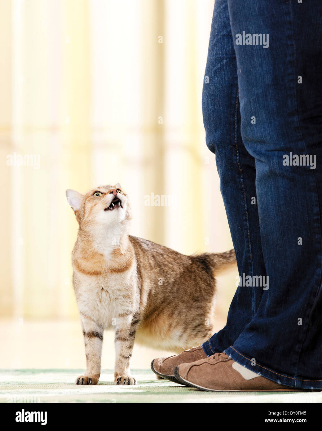 Standing beside hi-res stock photography and images - Alamy