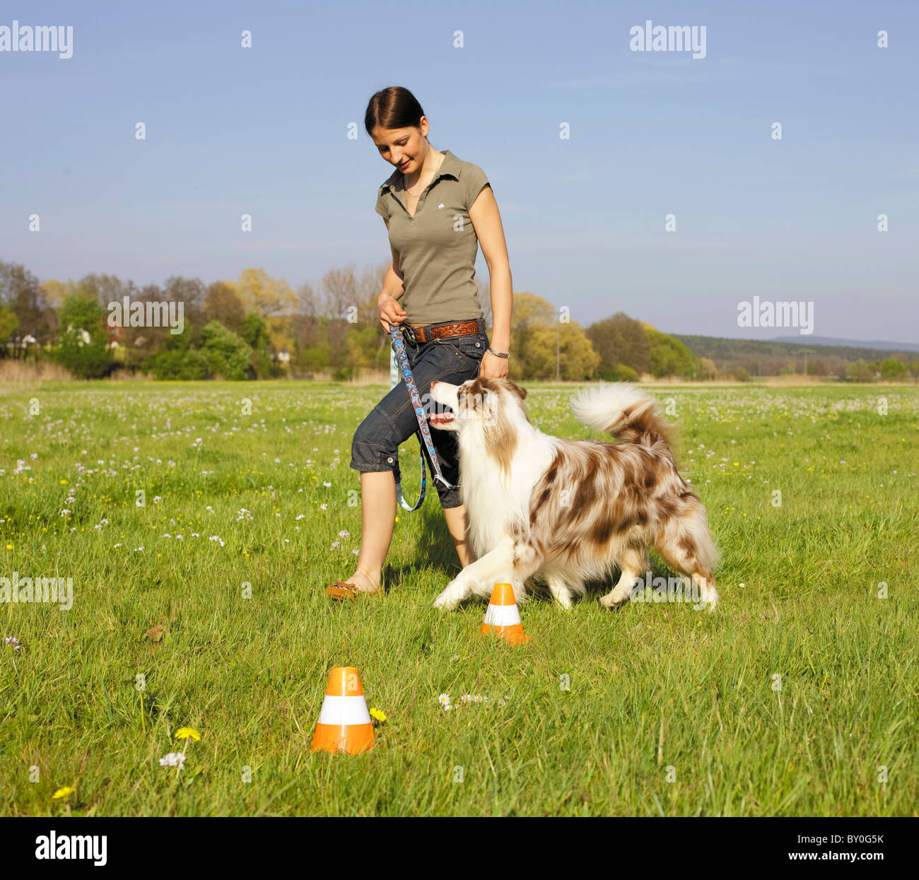 woman and Australian Shepherd dog walking through cones Stock Photo - Alamy