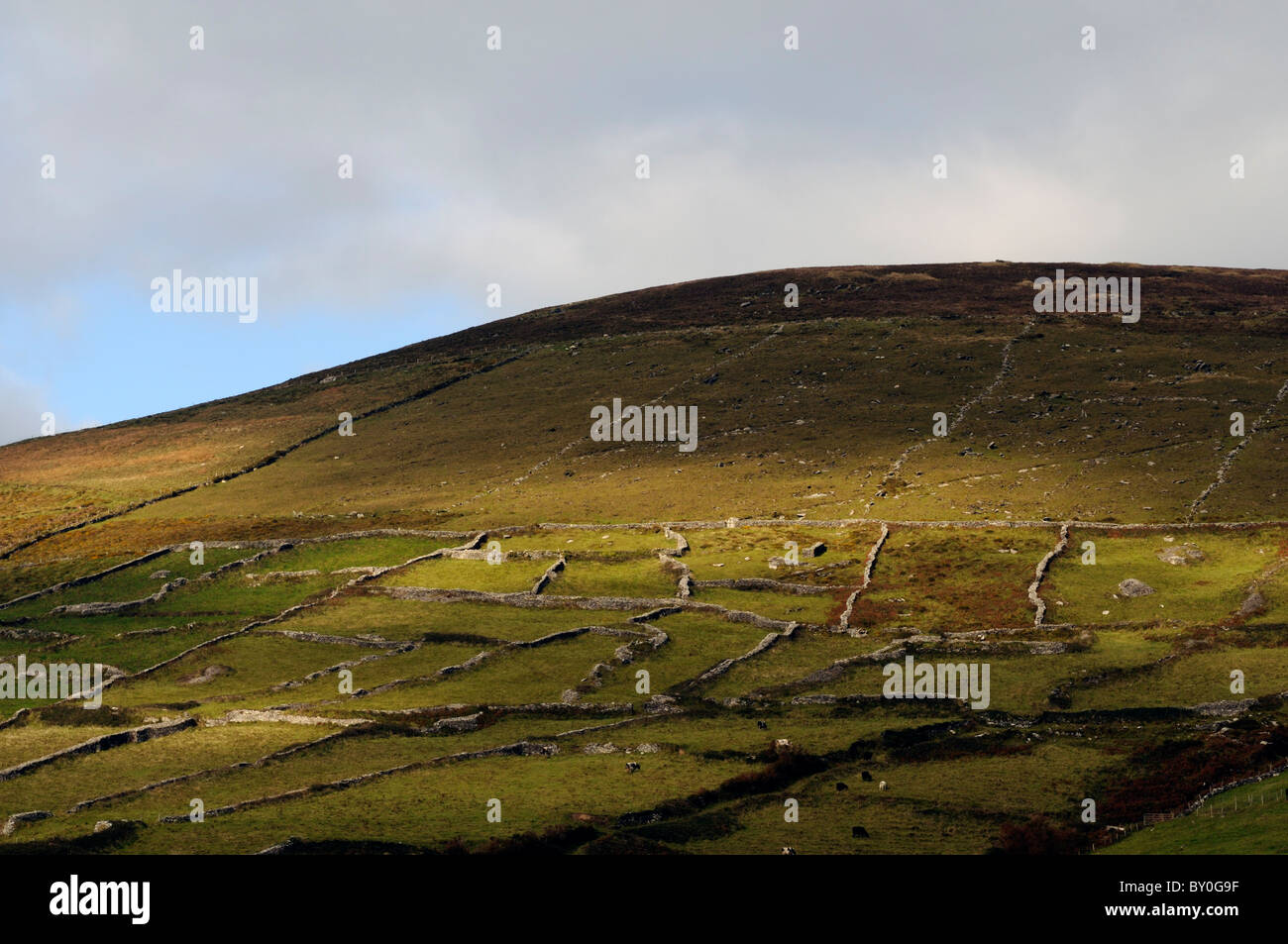 Irish landscape stone walls hi-res stock photography and images - Alamy