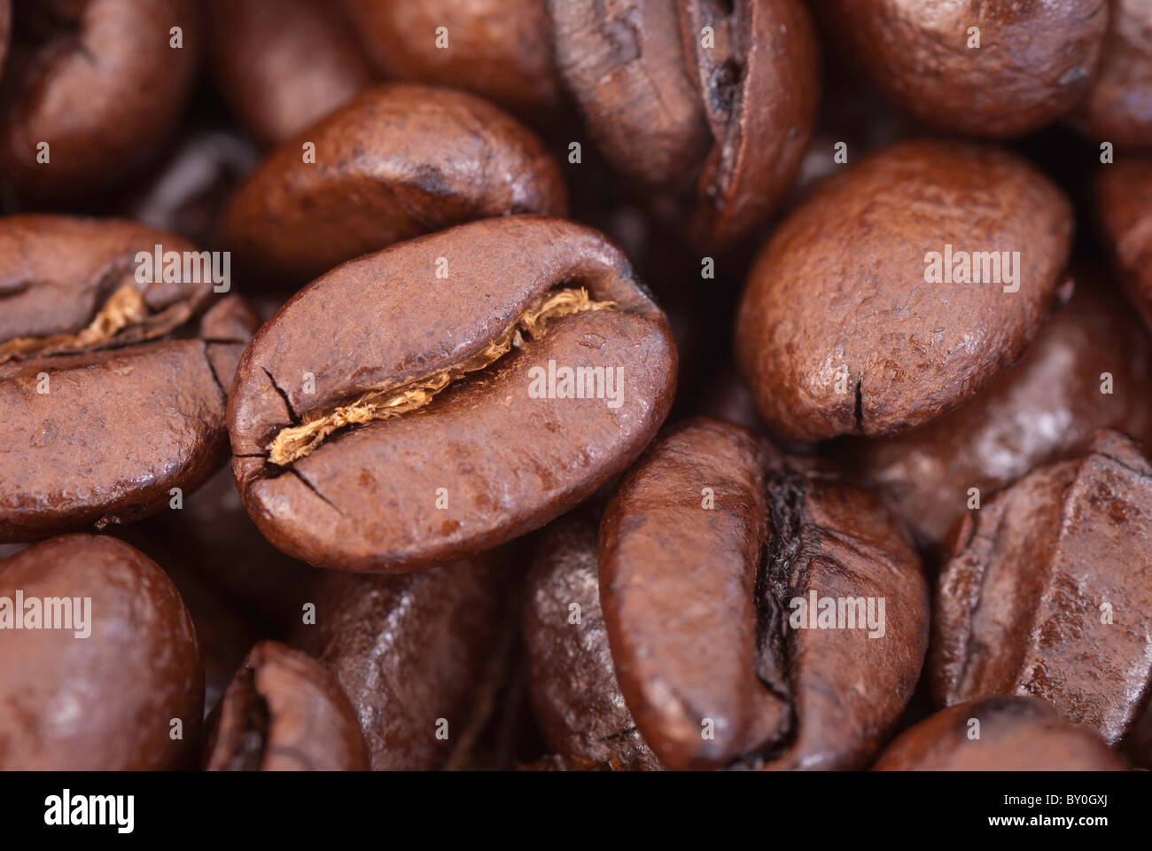 coffee whole beans Stock Photo - Alamy
