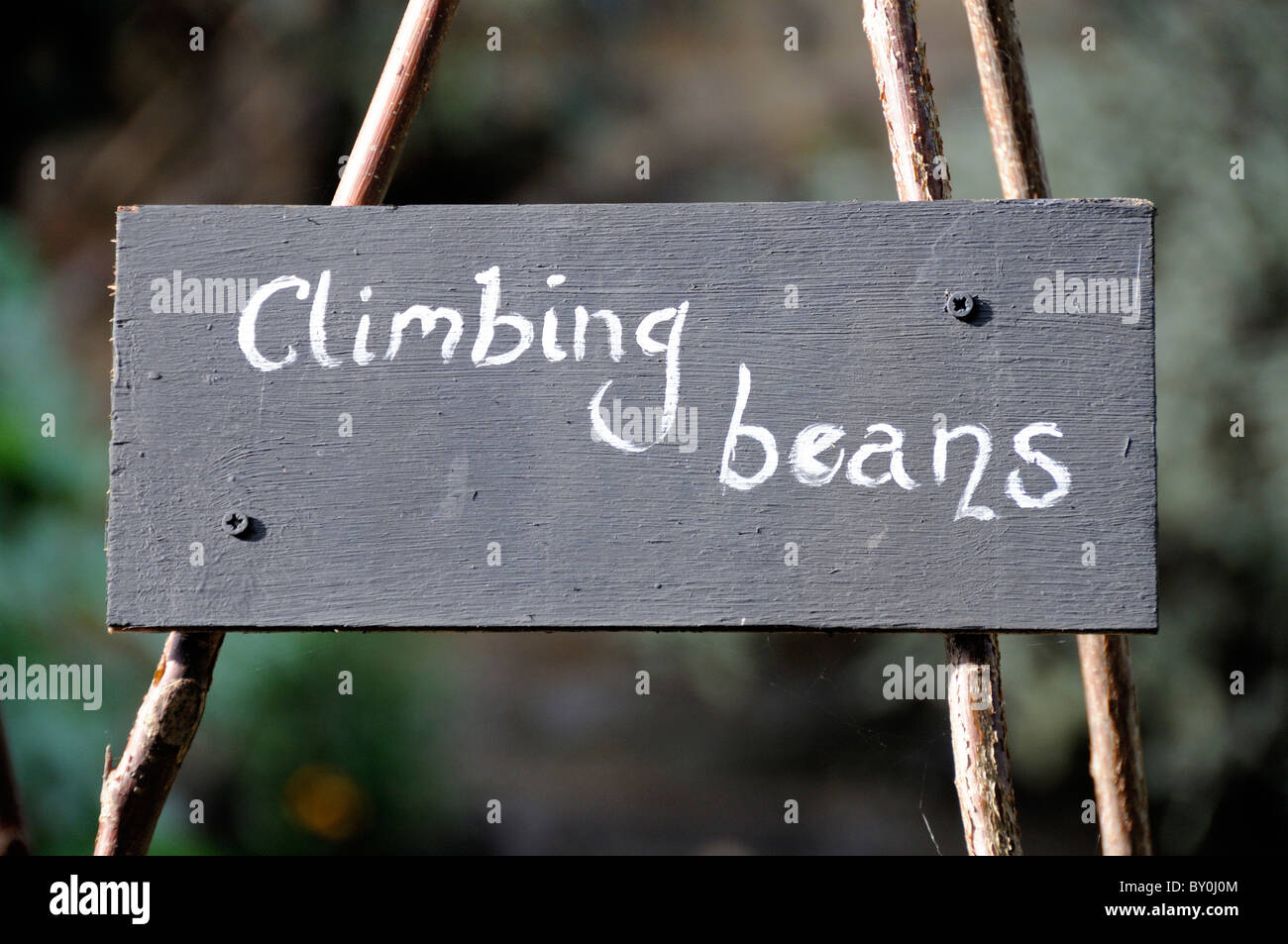 White lettering on black painted sign for Climbing Beans Stock Photo ...