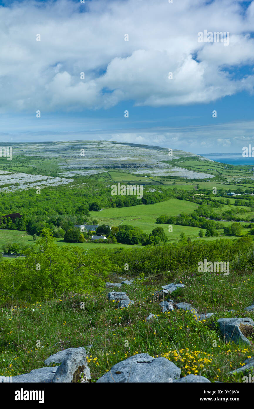 The Burren and Galway Bay from Corkscrew Hill, Cappanawalla left ...