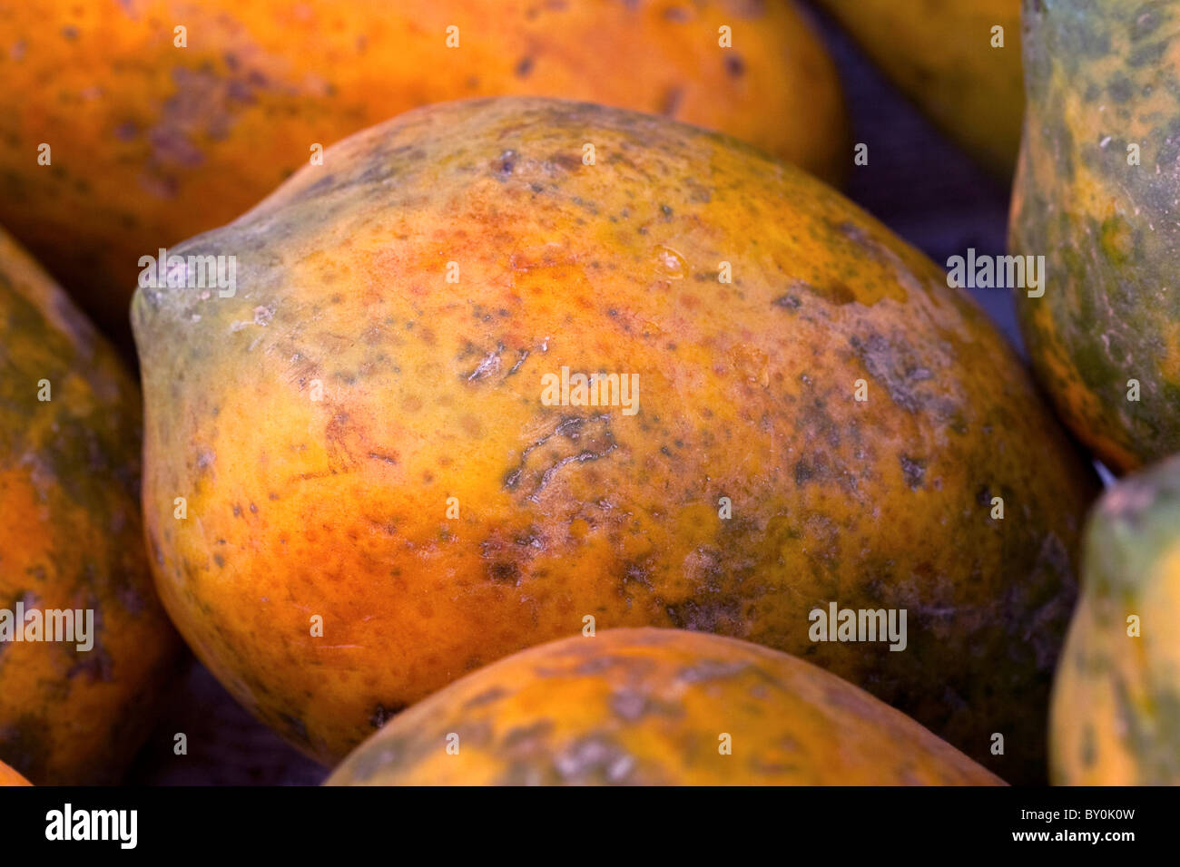 India pawpaw hi-res stock photography and images - Alamy