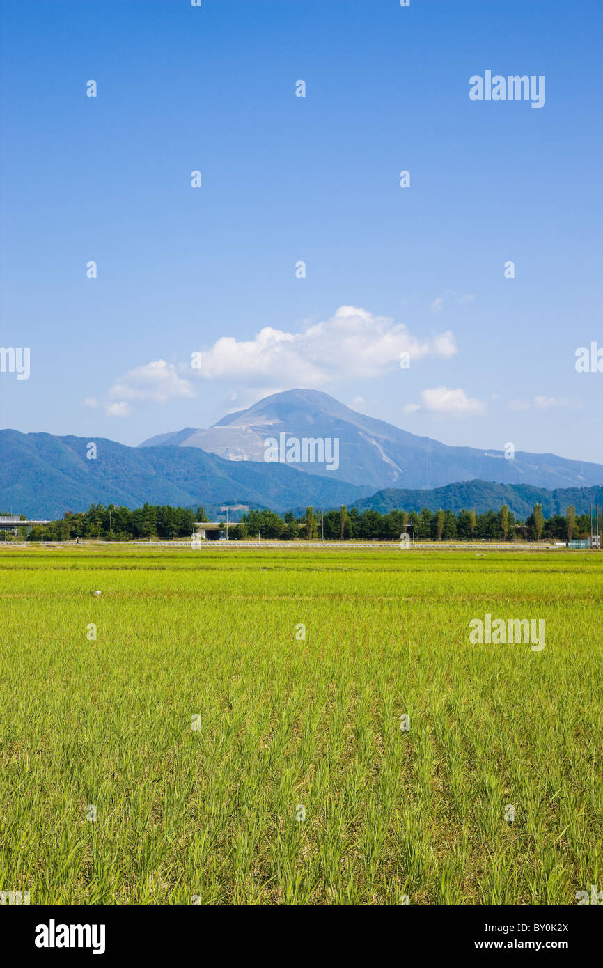 Maibara hi-res stock photography and images - Alamy