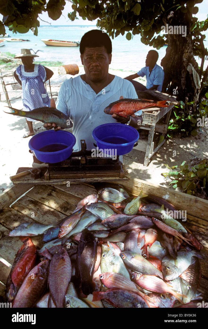 1, one, West Indian man, adult man, man, vendor, fish vendor, town of ...