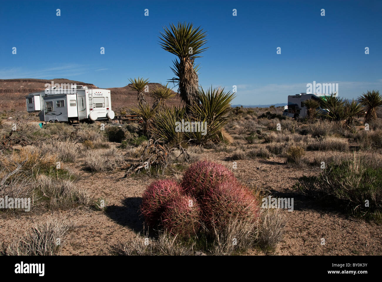 Hole-in-The-Wall Campground Barrel Cactus in front Mojave National ...