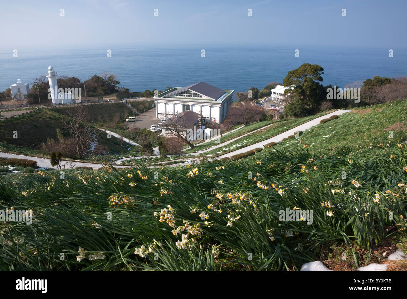 Echizen Coast and Narcissus, Echizen, Fukui, Japan Stock Photo - Alamy