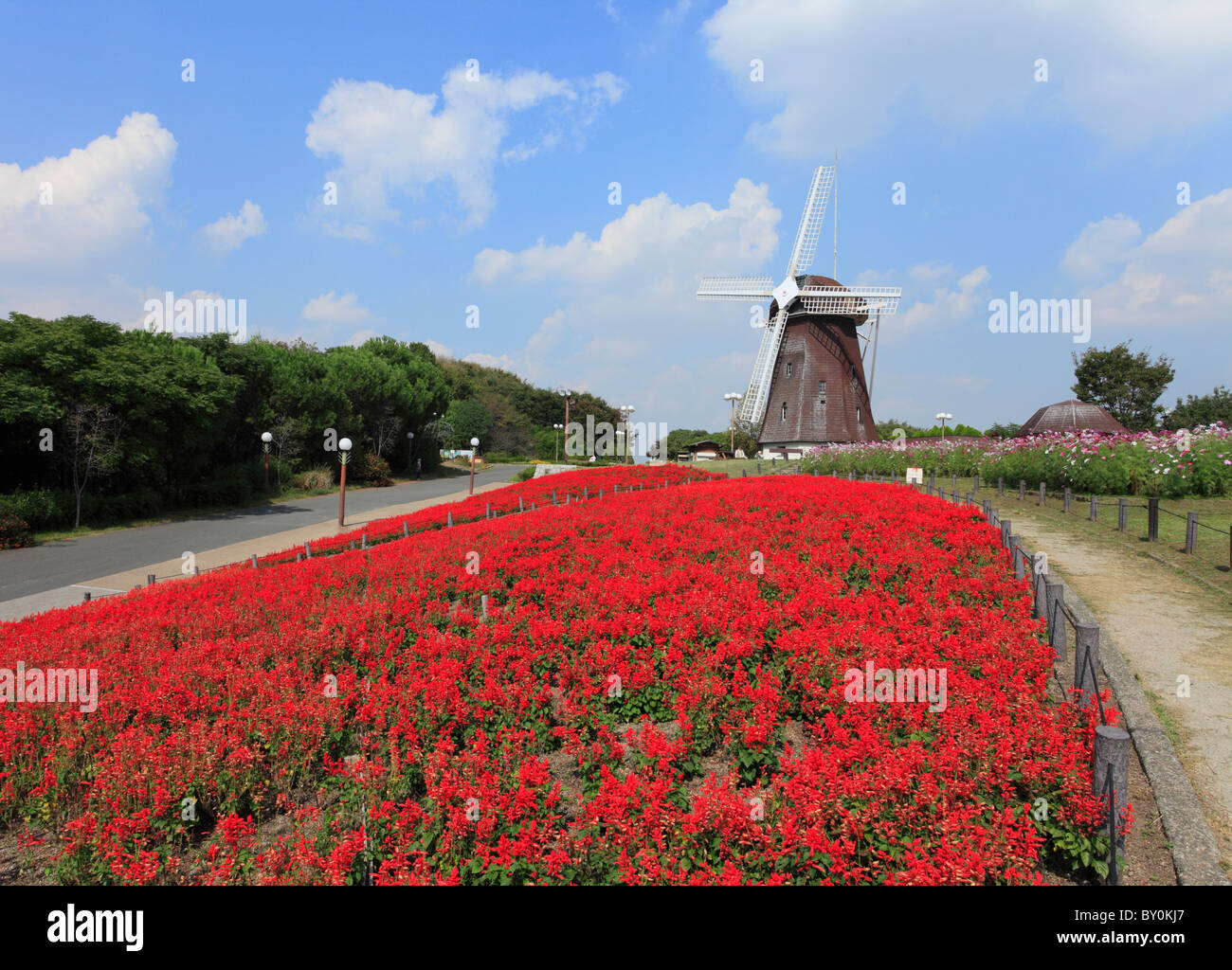 Tsurumi Ryokuchi Park, Moriguchi, Osaka, Japan Stock Photo - Alamy