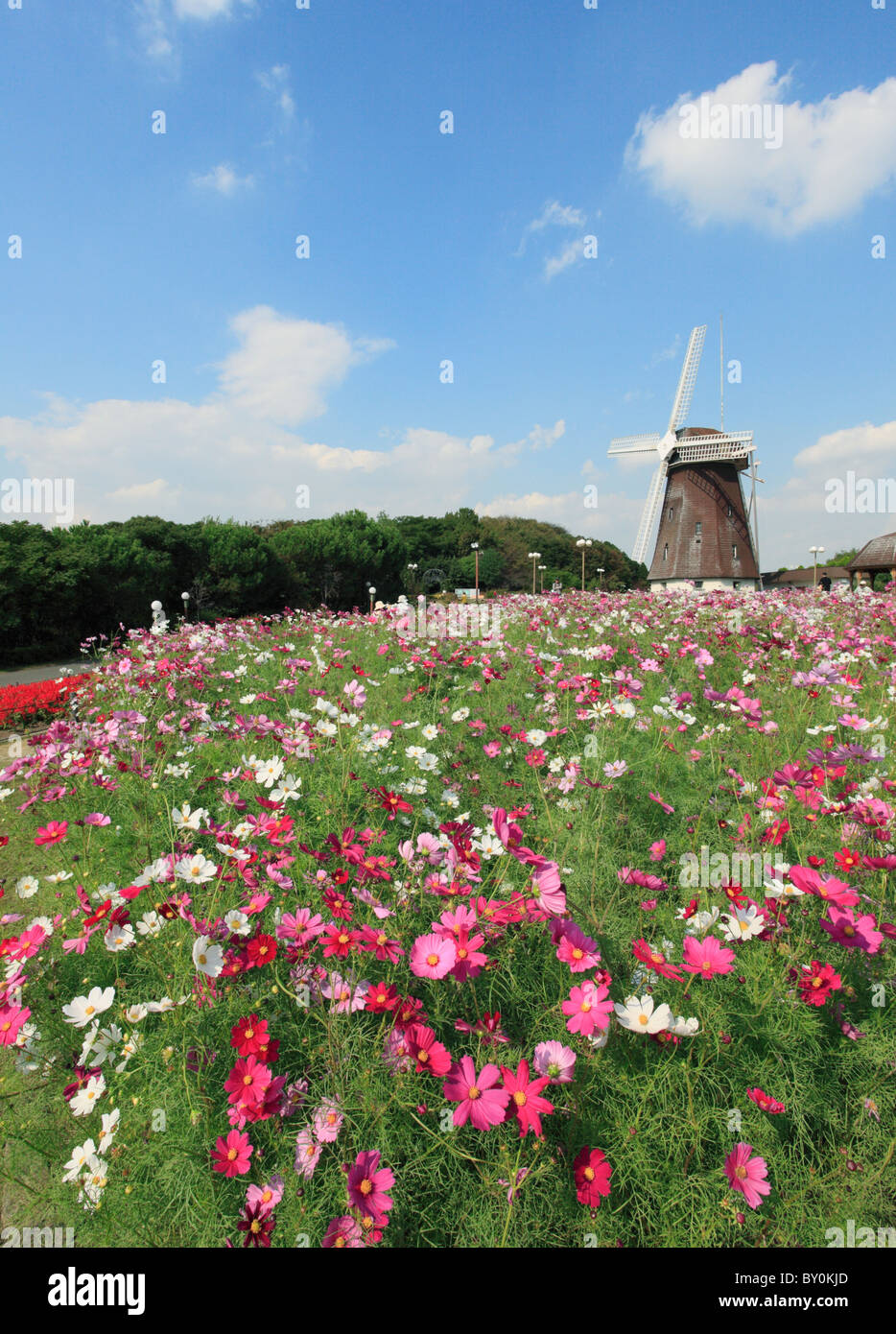 Tsurumi Ryokuchi Park, Moriguchi, Osaka, Japan Stock Photo - Alamy