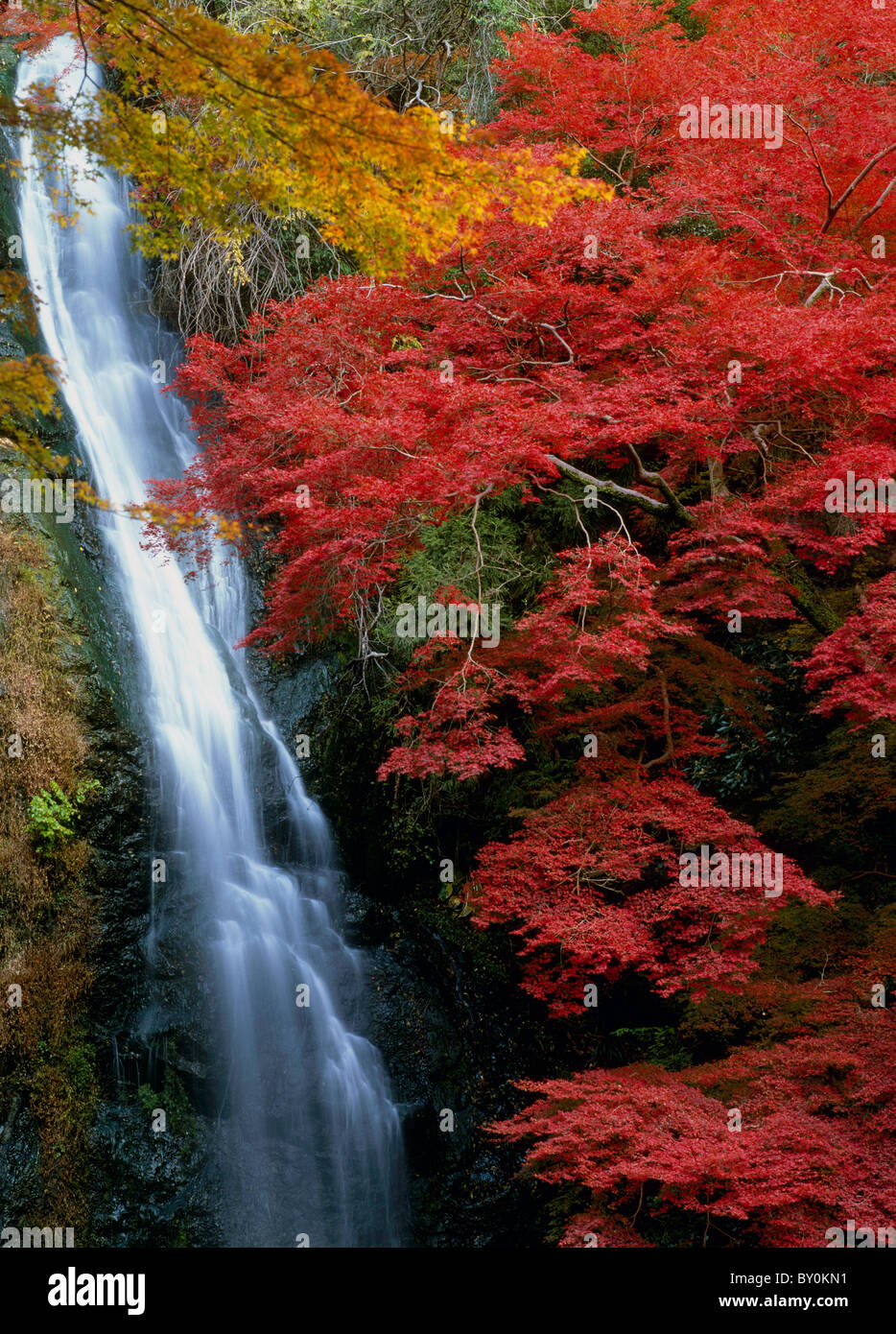 Minoh o taki hi-res stock photography and images - Alamy