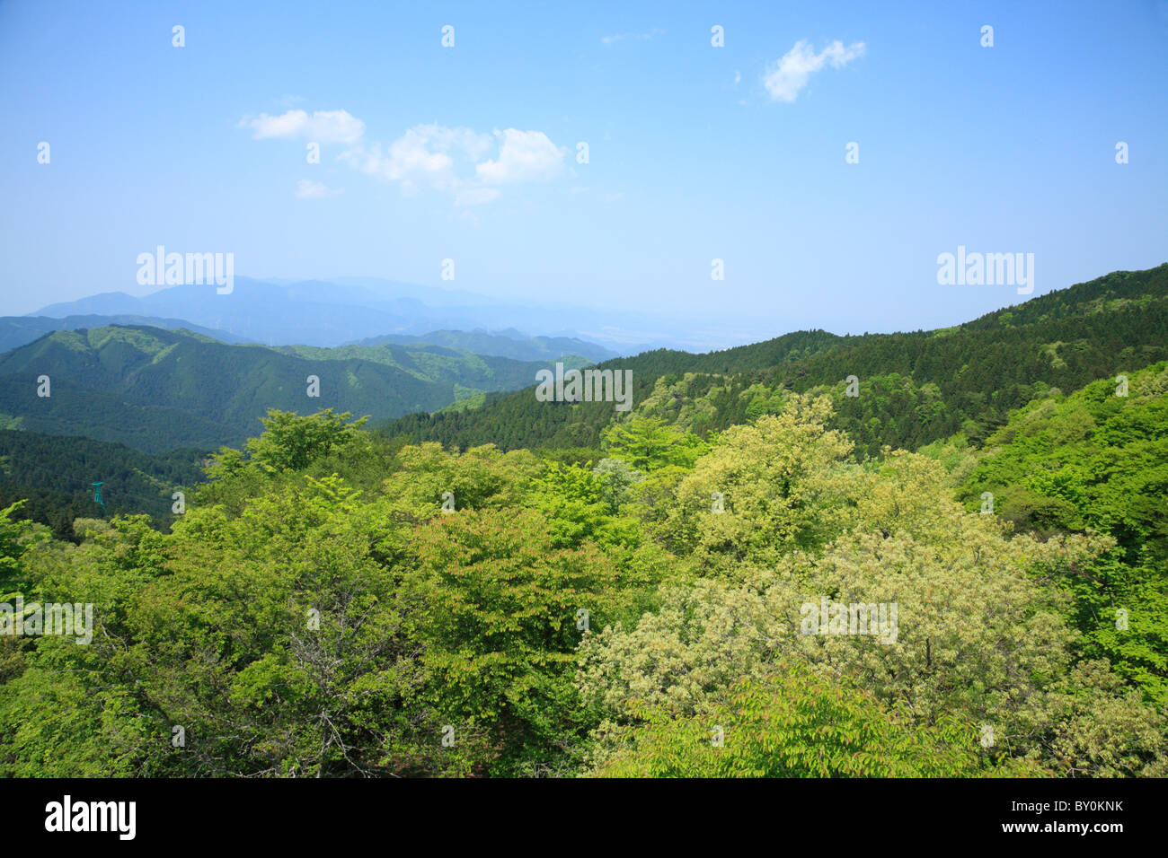 Osaka forest hi-res stock photography and images - Alamy