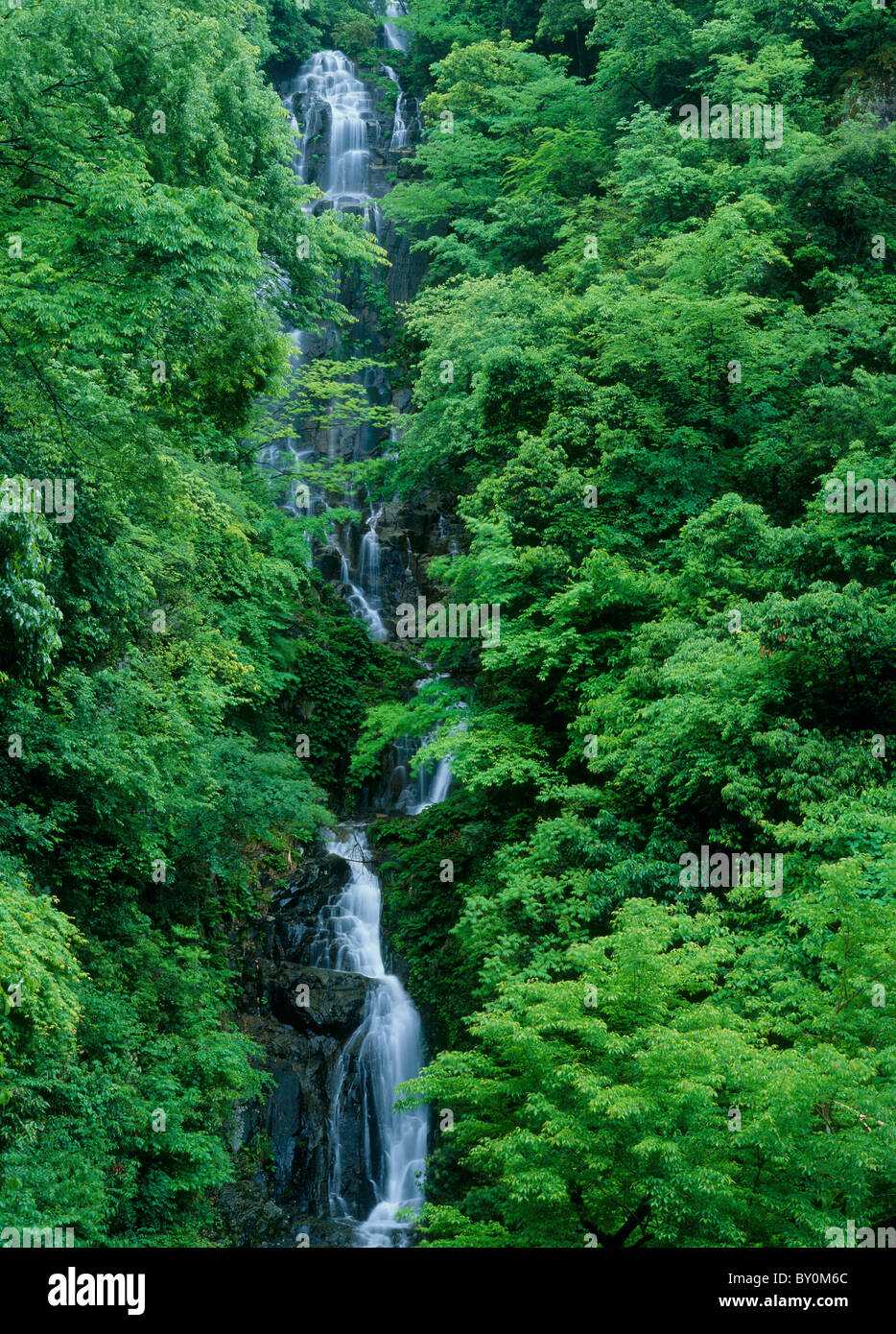 Jousei Waterfall, Miyoshi, Hiroshima, Japan Stock Photo - Alamy