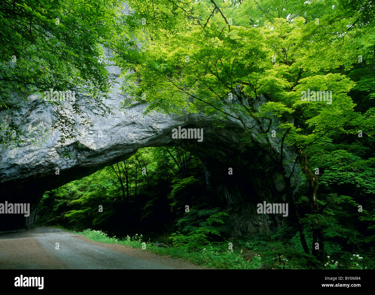 Onbashi bridge hi-res stock photography and images - Alamy