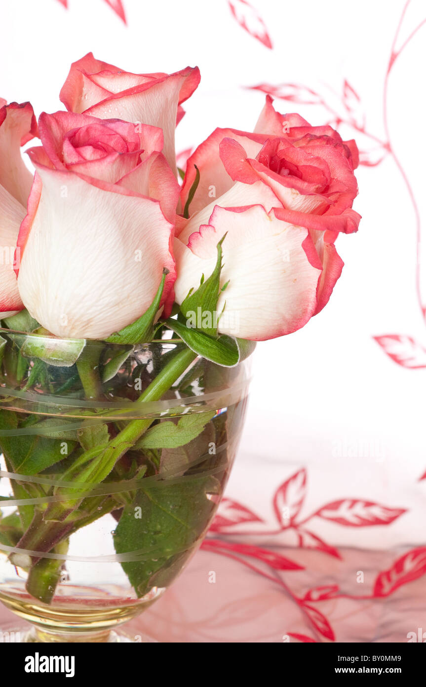 bouquet of pink roses in vase Stock Photo - Alamy
