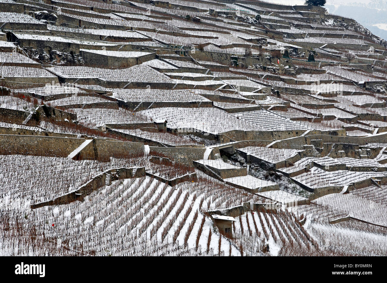 Terraced Farming Plots High Resolution Stock Photography and Images - Alamy