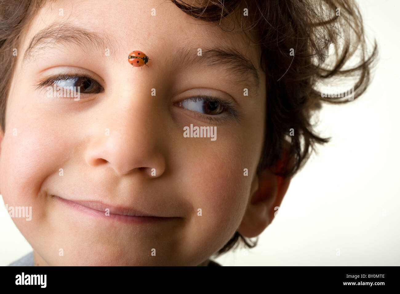 Ladybug on a person hi-res stock photography and images - Alamy
