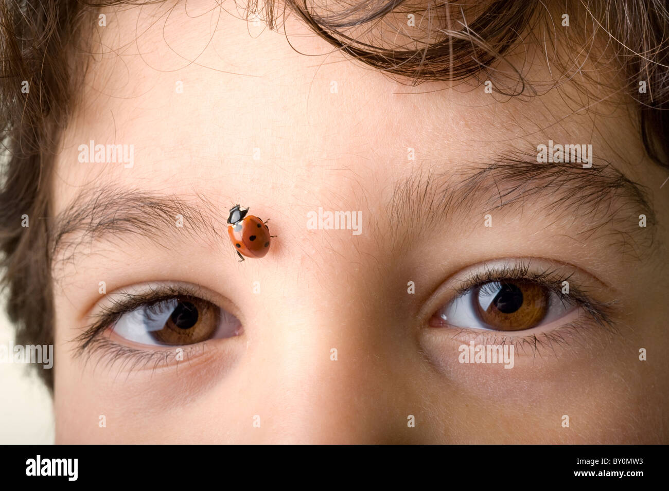 young boy with a ladybug on his face Stock Photo - Alamy