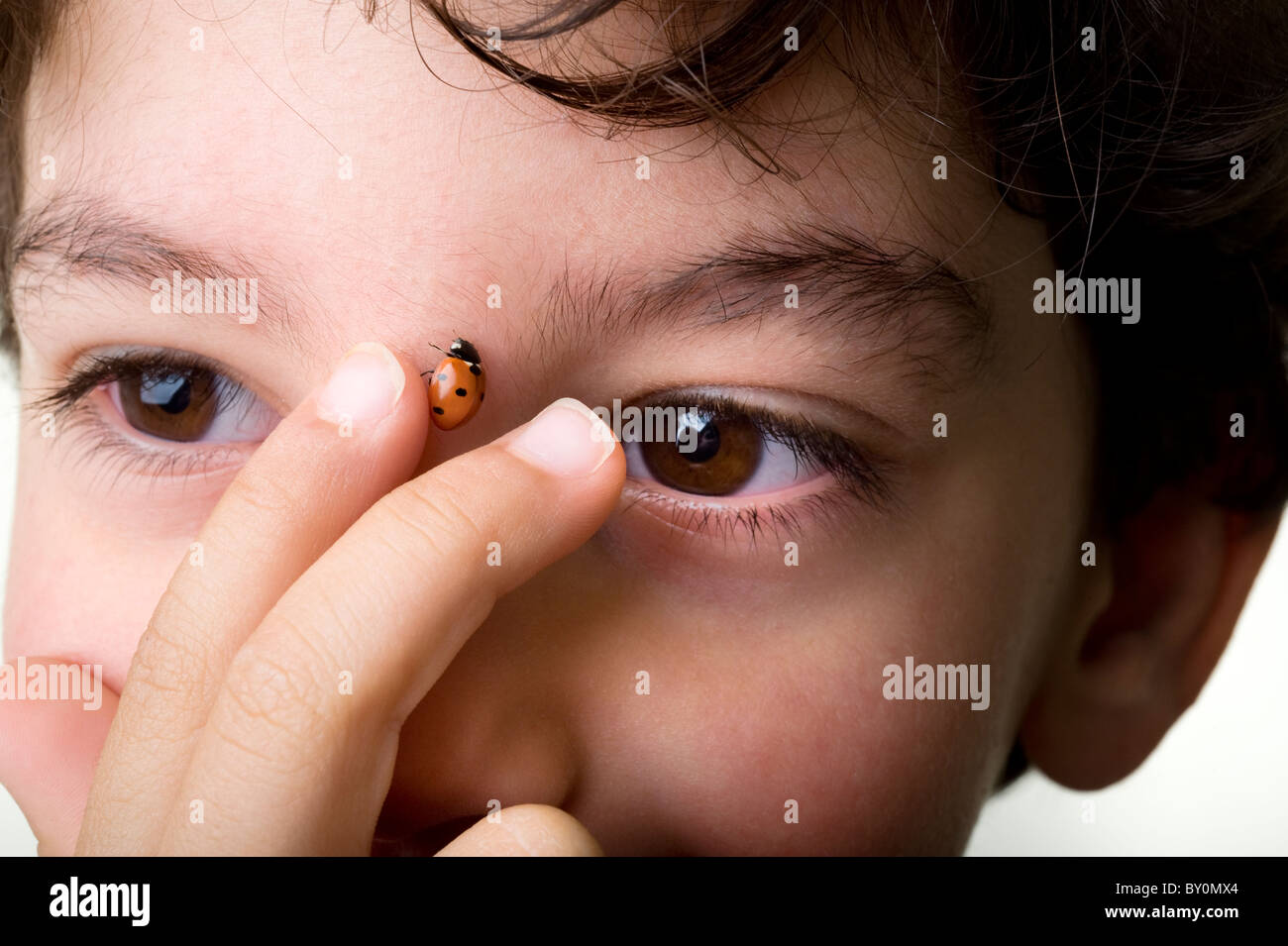 young boy touching a ladybug on his face Stock Photo - Alamy