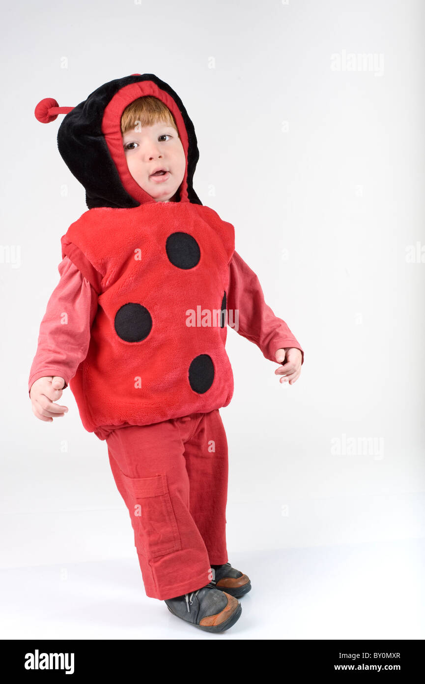 Baby ladybug hi-res stock photography and images - Alamy