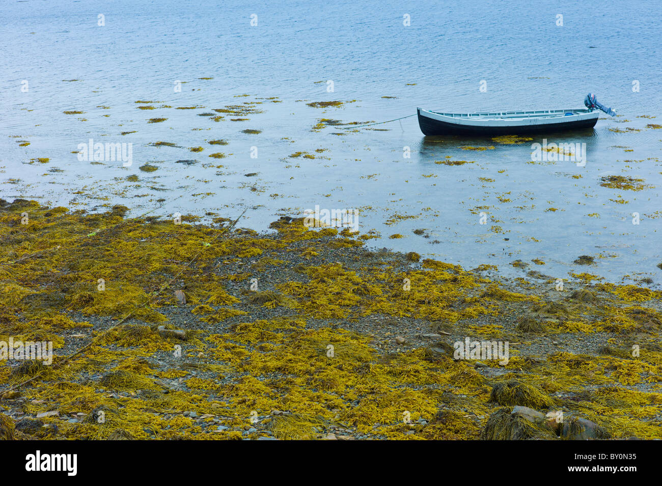 Traditional curragh fishing boat hi-res stock photography and images ...