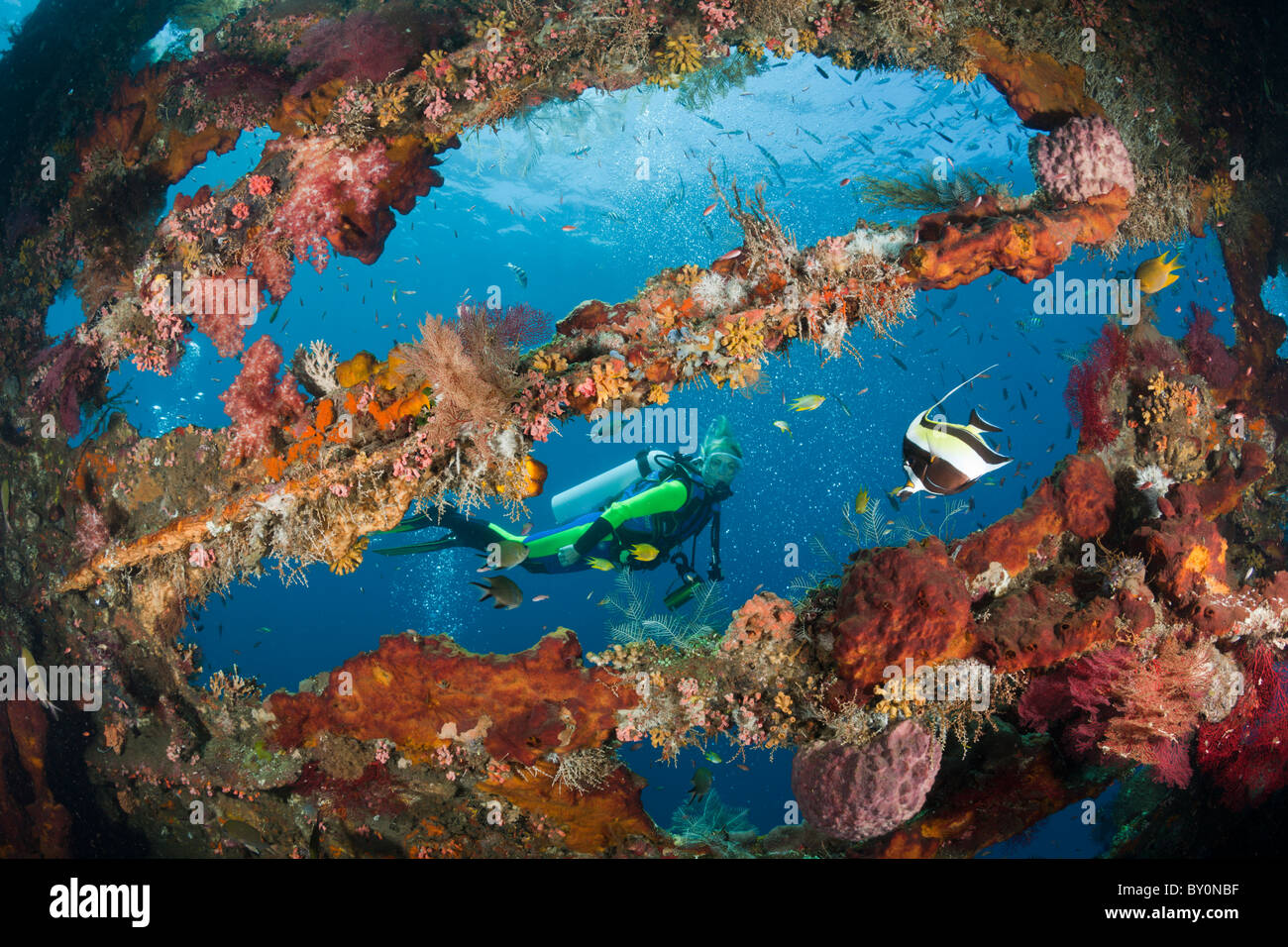 Tulamben bali hi-res stock photography and images - Alamy
