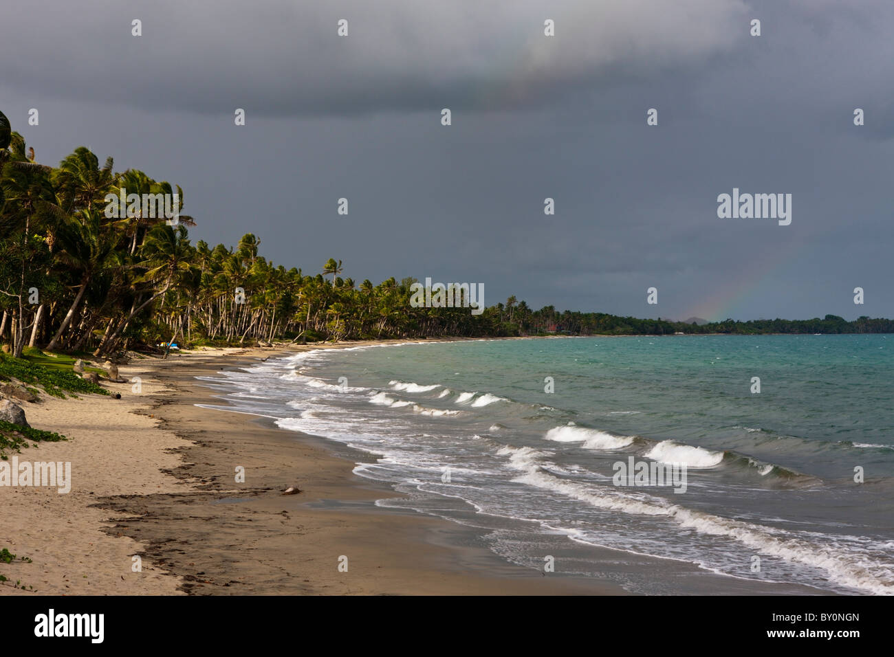 Beach of Pacific Harbour, Beqa Lagoon, Viti Levu, Fiji Stock Photo - Alamy