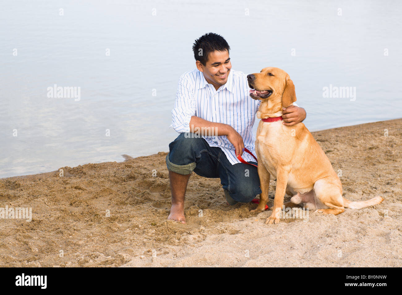Man and golden retriever at the beach Stock Photo - Alamy