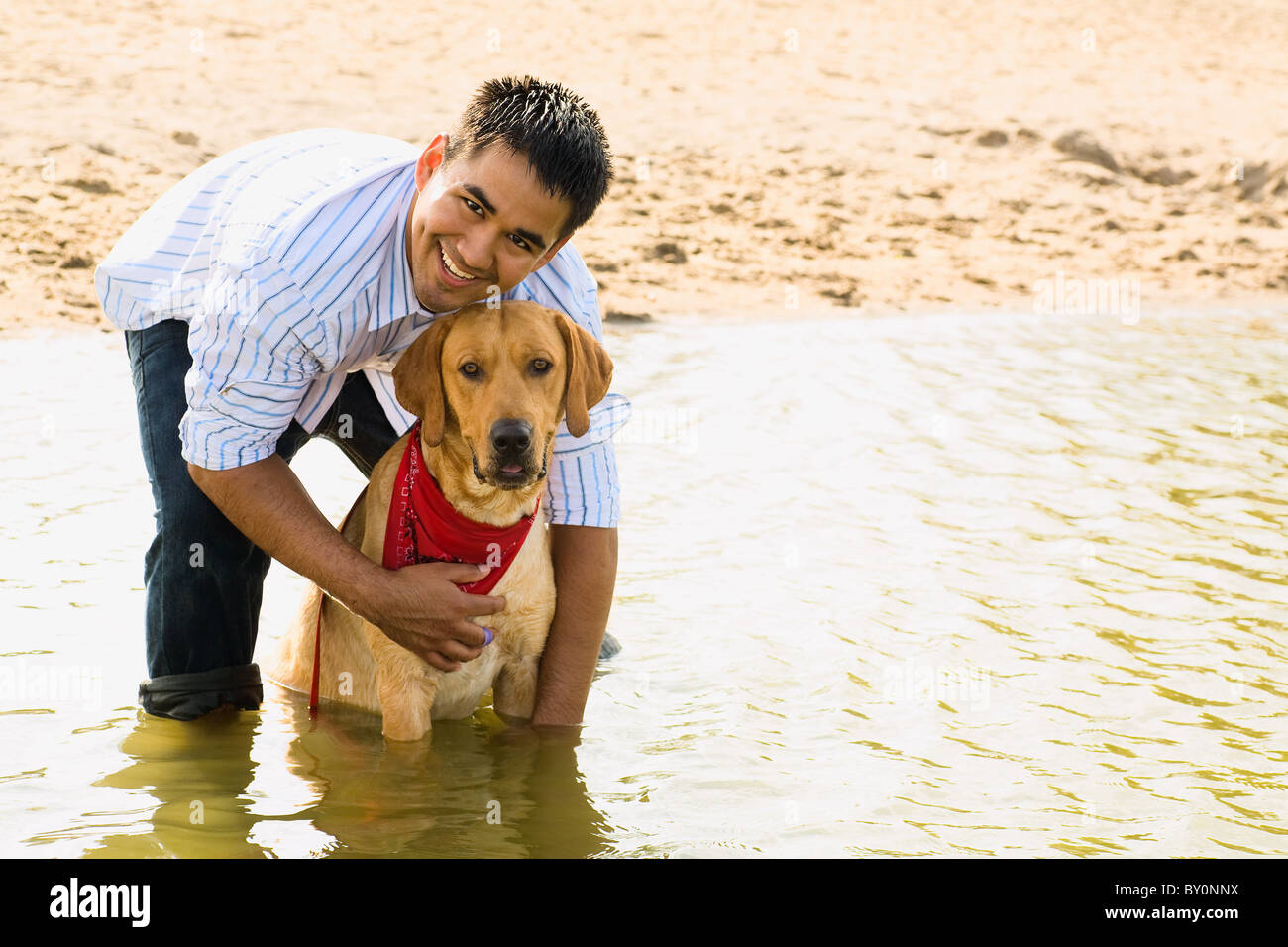 Man and golden retriever in the sea Stock Photo - Alamy
