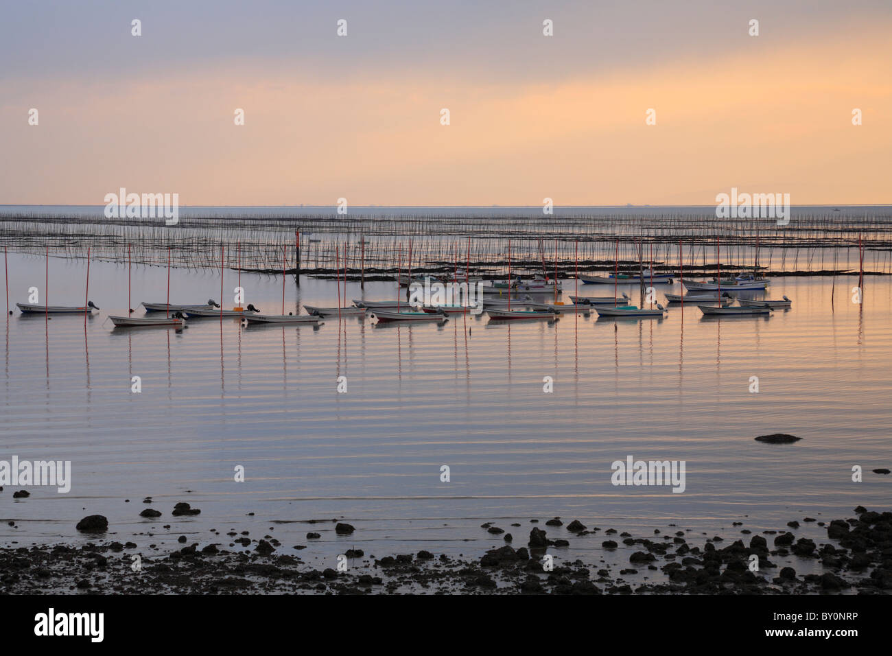 Ariake Sea, Tara, Saga, Japan Stock Photo - Alamy