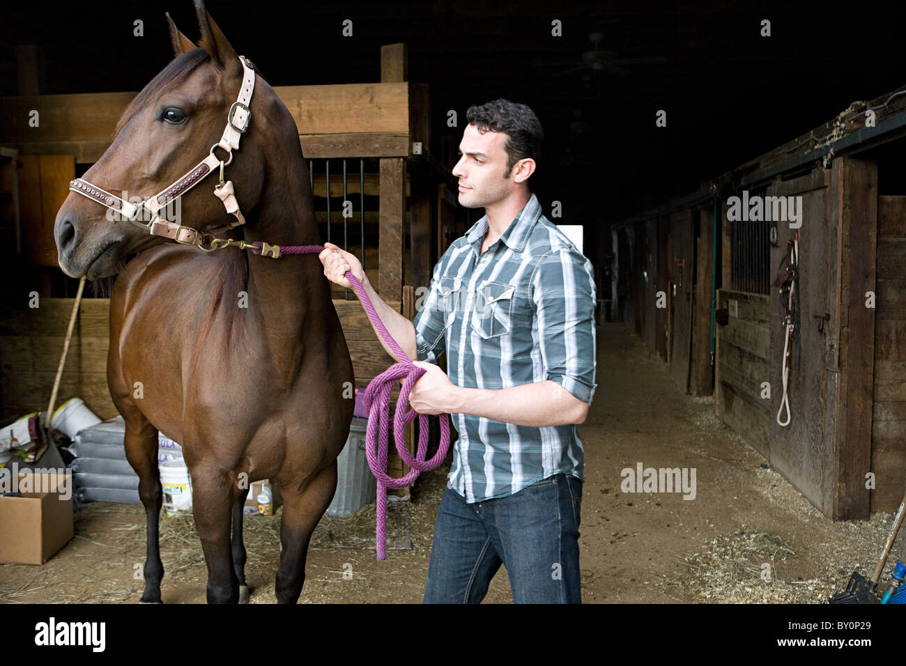 Young man with horse at stable Stock Photo - Alamy