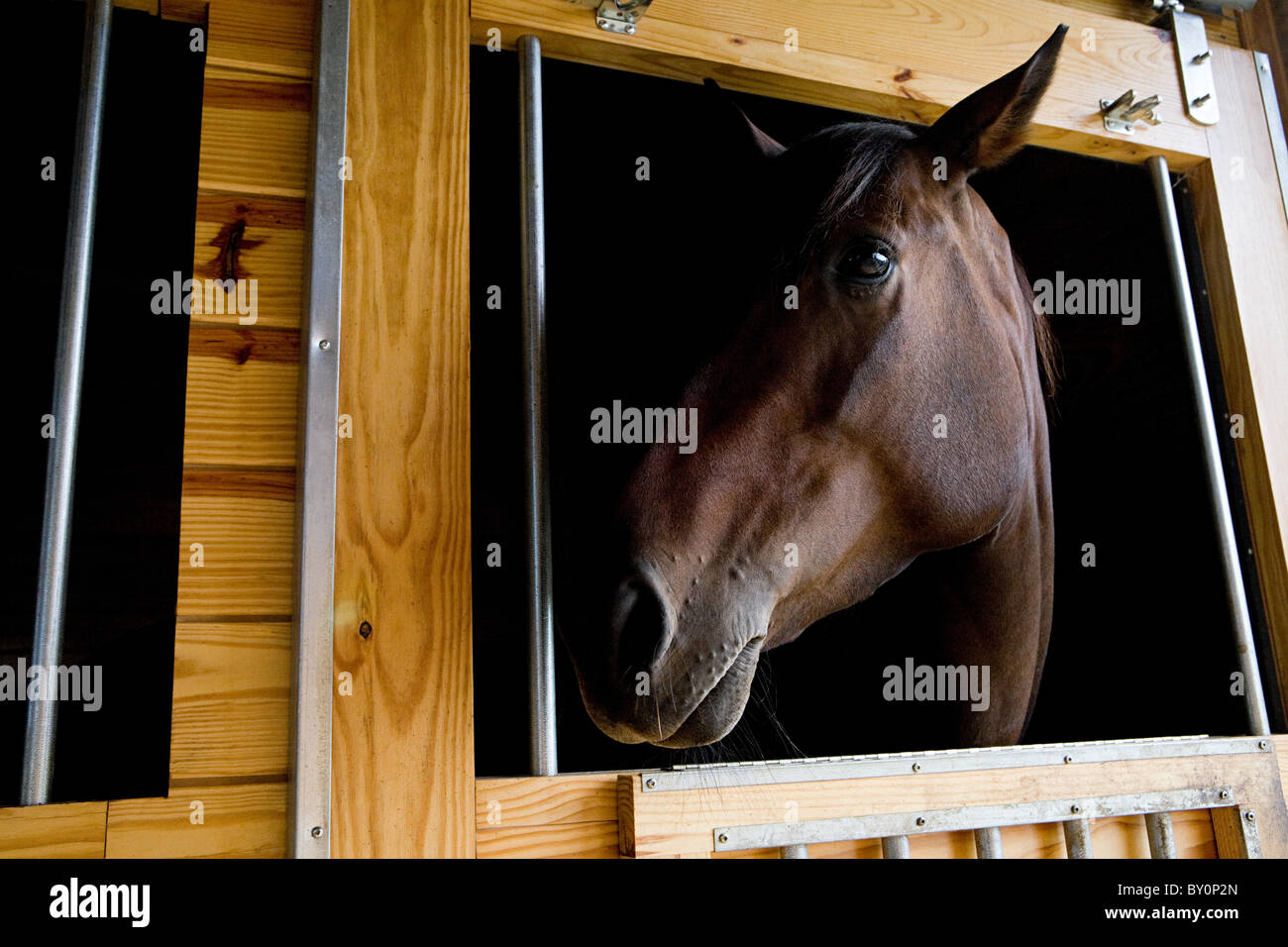 Stable hi-res stock photography and images - Alamy