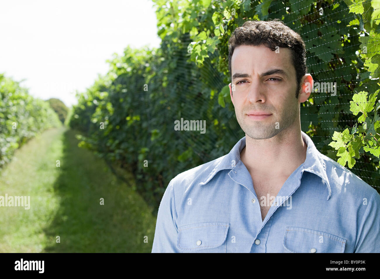 Young man in vineyard Stock Photo - Alamy