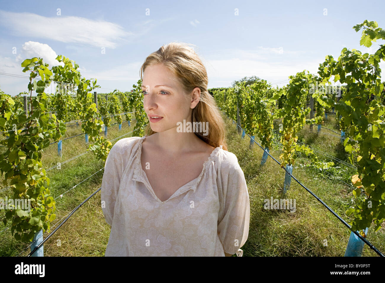 Mid adult woman in vineyard with vines Stock Photo - Alamy