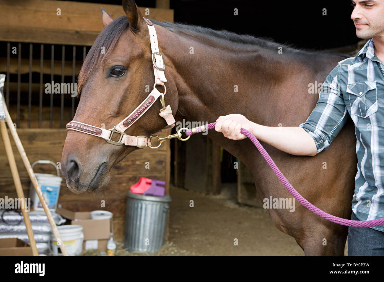 Young man with horse Stock Photo - Alamy