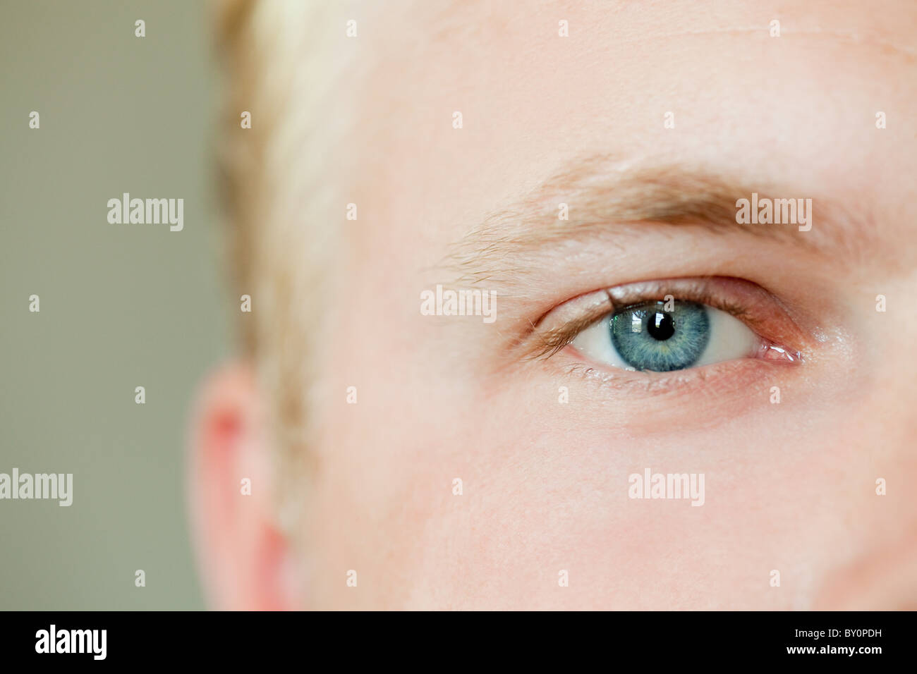 Staring blue eye hi-res stock photography and images - Alamy