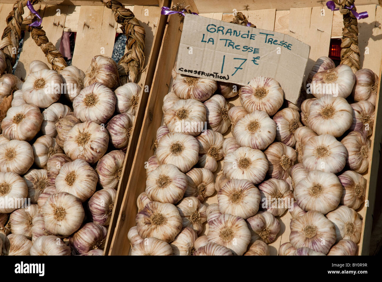 French garlic hi-res stock photography and images - Alamy
