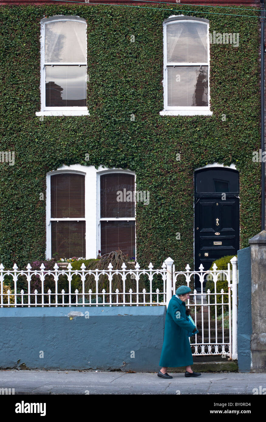 All green, Ireland's national colour. An old lady in green coat walks ...
