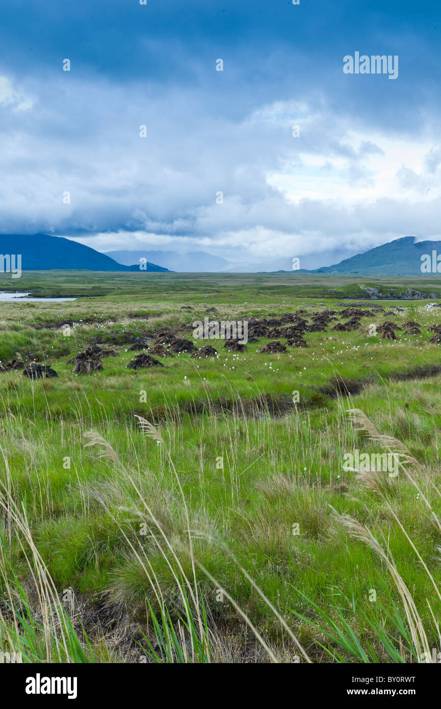 Peat bog ireland hi-res stock photography and images - Alamy