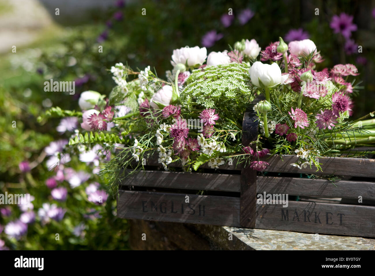 A bunch of wild summer flowers in a punnet marked English Market Stock ...